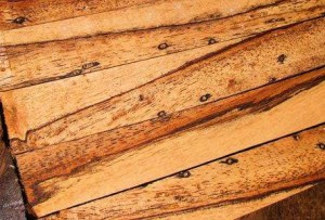 What is Mango Wood? Features and Uses - The Basic Woodworking