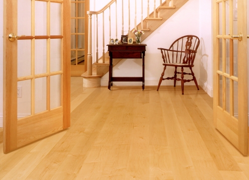 A Guide to Maple Flooring Pros and Cons - The Basic Woodworking